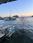 Karafaki Restaurant (Muğla, Bodrum, Gümüşlük Mah., 1120. Sok., 64), restoran  Bodrum'dan