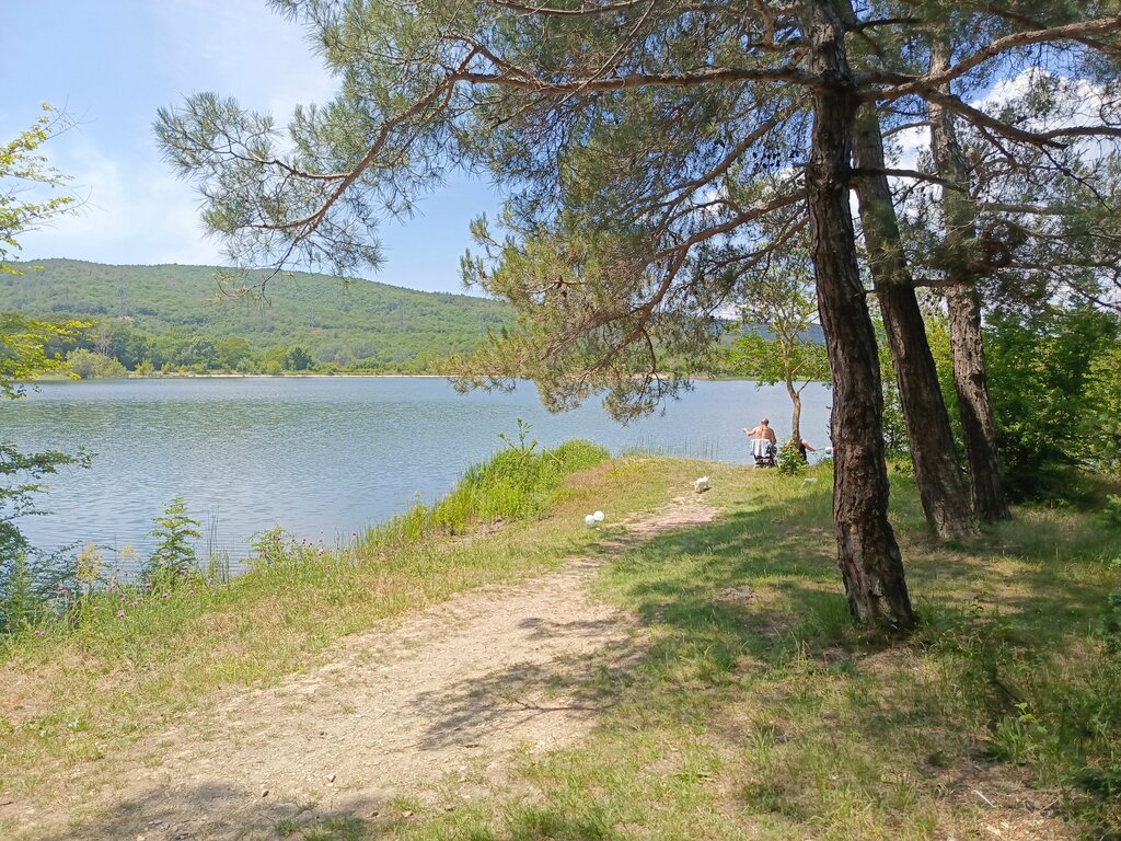 Piknik alanı Место для пикника, Krasnodarski krayı, foto
