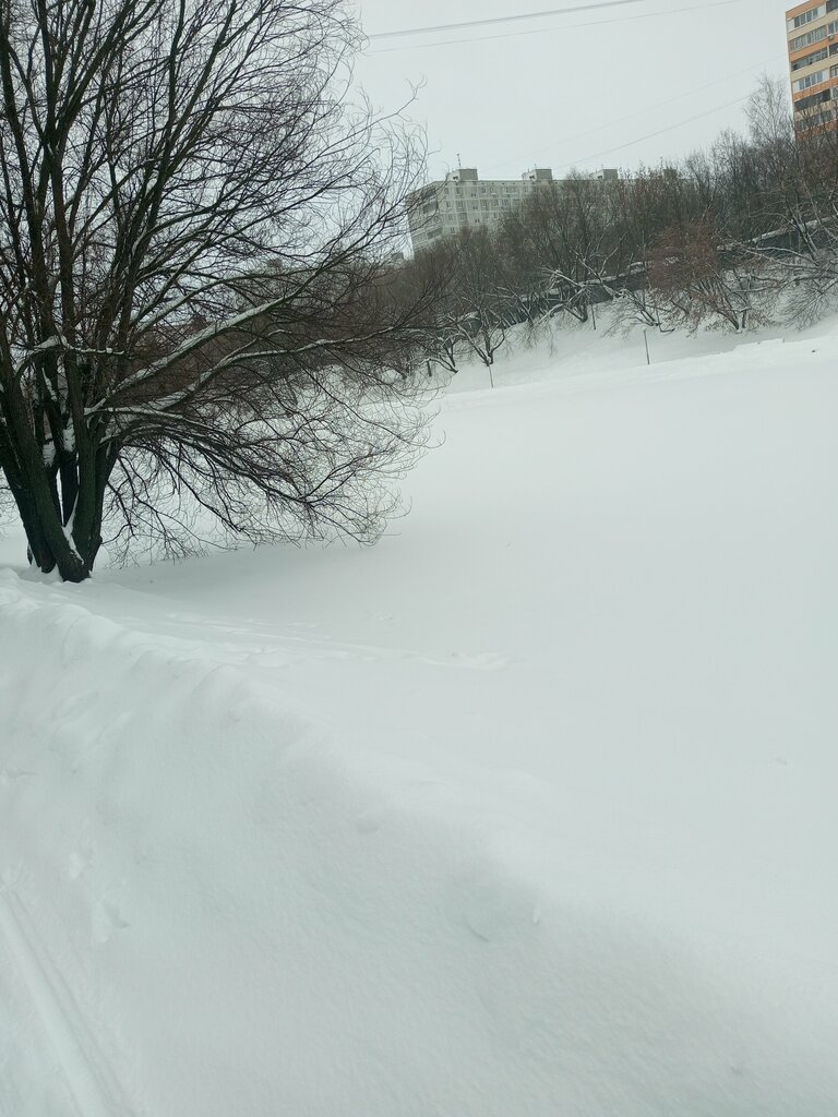 Bank Bench, Moskova, foto
