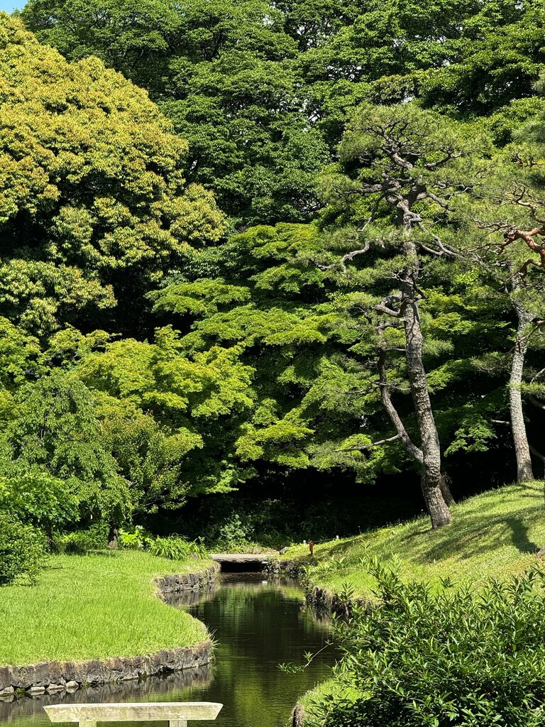 Kültür ve eğlence parkları Koishikawa-Korakuen Garden, Tokyo, foto
