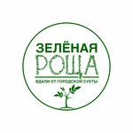 Zelenaya Rosha (Volgograd Region, Kamyshinskiy rayon, Ternovskoye selskoye poseleniye), tatil köyleri  Volgogradskaya oblastından