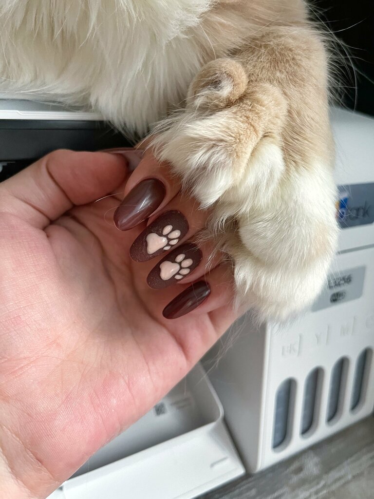 Evcil hayvan yetiştiricileri Rich Margarett, Birsk, foto