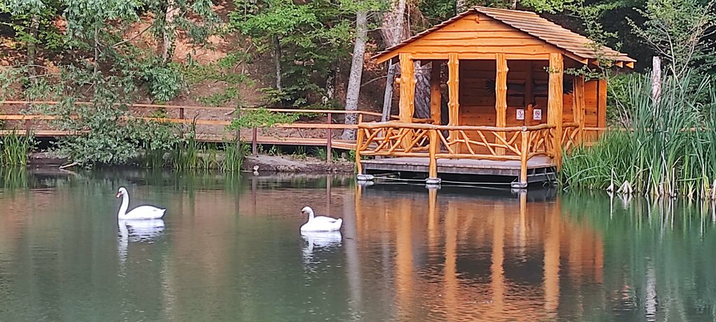 Pınar, çay Spring, stream, Kırım Cumhuriyeti, foto