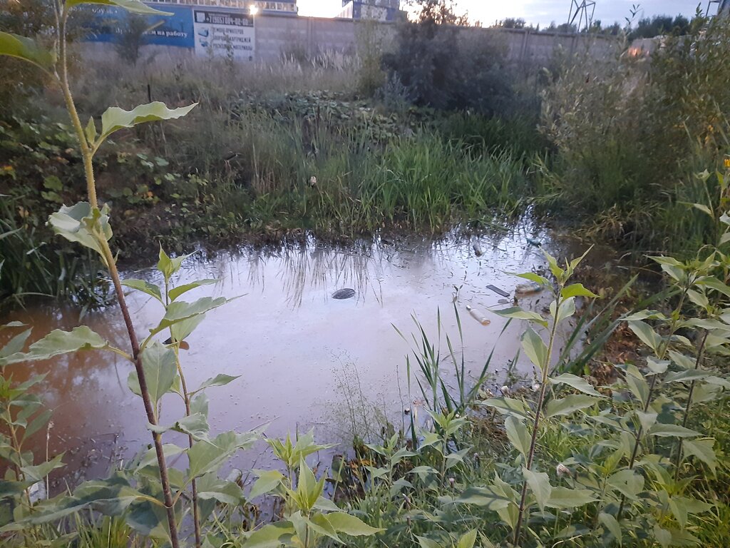 Pınar, çay Spring, stream, Kudrovo, foto