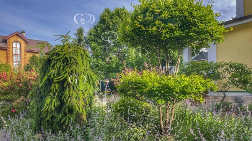 Peyzaj tasarımı Gardens Design Landscape & Gardens, Moskova ve Moskovskaya oblastı, foto