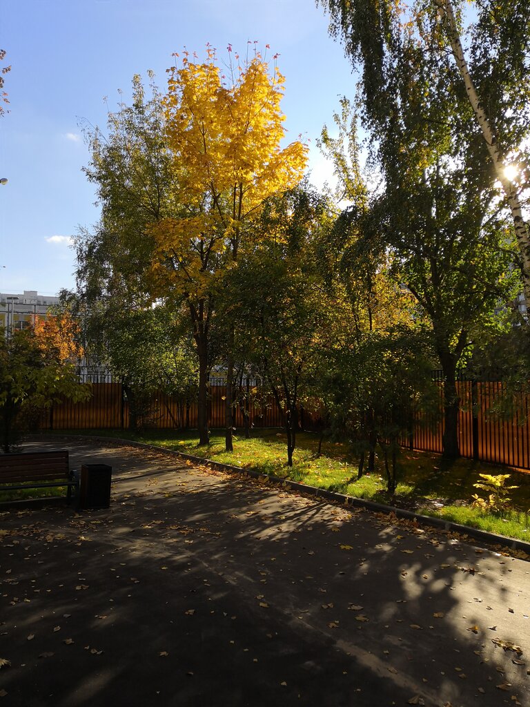 Anaokulları Школа № 2087 Открытие, дошкольный корпус № 1, Moskova, foto