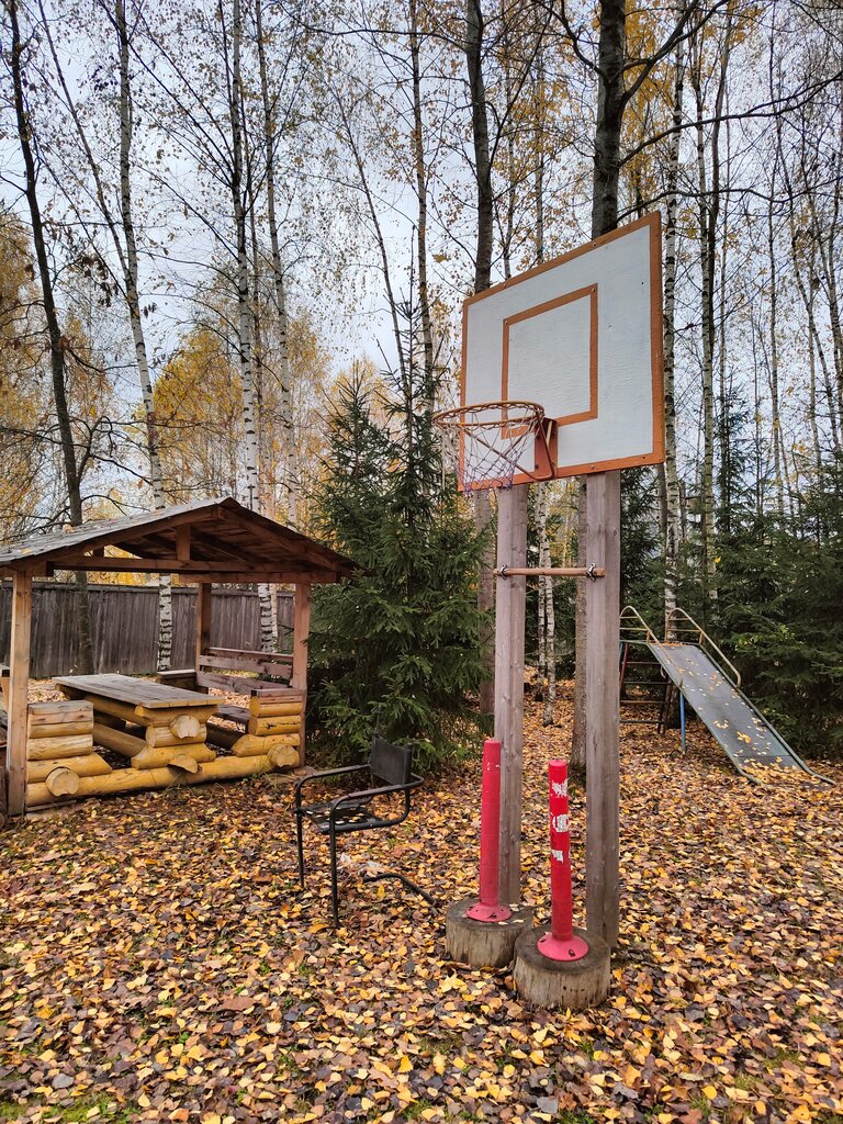 Oyun alanı Playground, Moskova ve Moskovskaya oblastı, foto