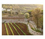 La Casa Di Anna G (Via Giuseppe Garibaldi No:66, Alberobello), otel  Puglia'dan