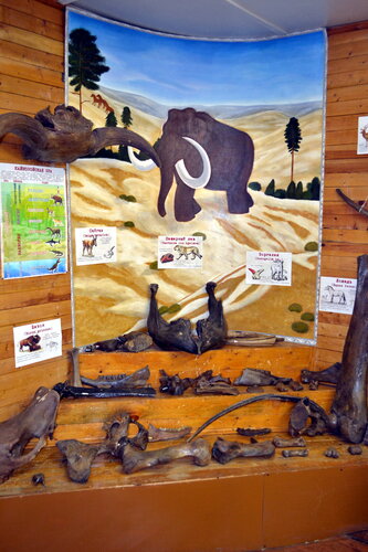 Müzeler ve sanat galerileri Ust-Ishim museum of Local History, Omskaya oblastı, foto