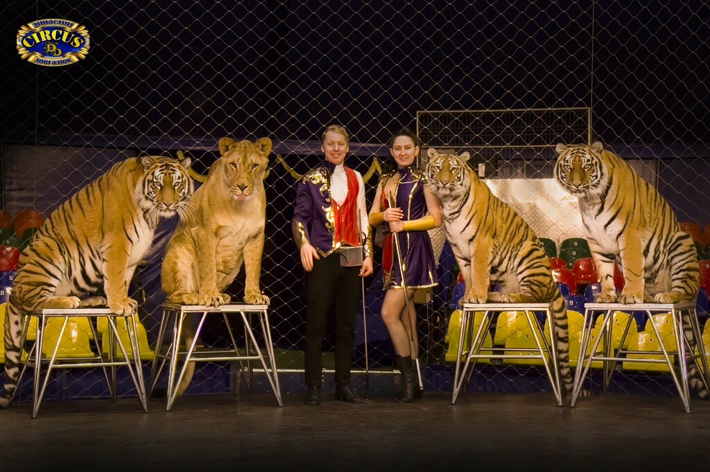 Sirkler Цирк Династии Довгалюк, Rostov‑na‑Donu, foto