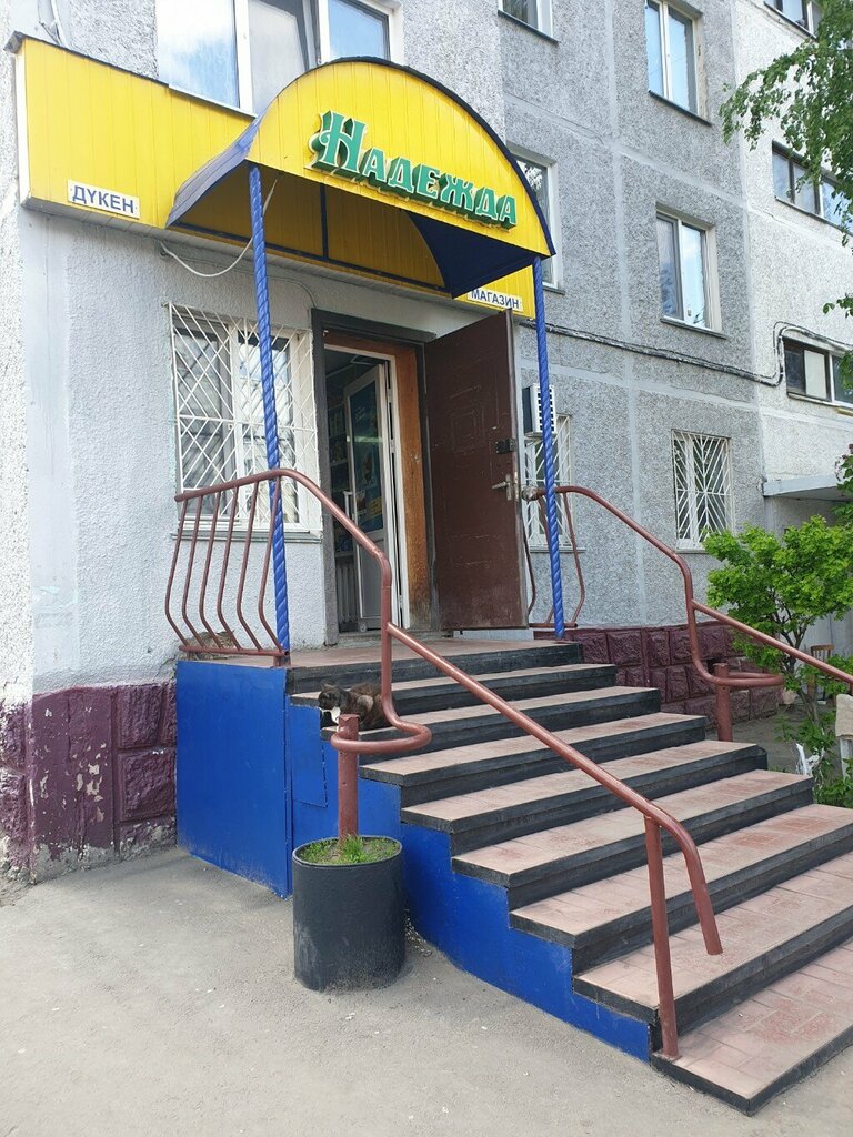 Market Nadezhda, Petropavl (Petropavlovsk), foto