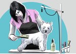 Groomer (ulitsa Shakhtyora No:15А), evcil hayvan kuaförleri  Yemanjelinsk'ten