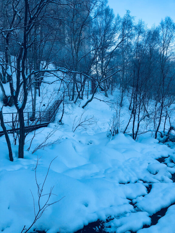 Pınar, çay Spring, stream, Murmanskaya oblastı, foto