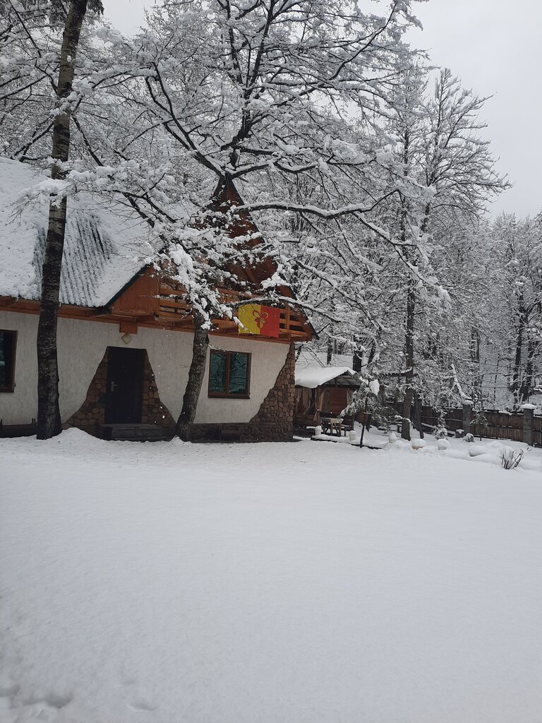Resort oteller, tesisler Гостевой дом Ипатово, Teberda, foto