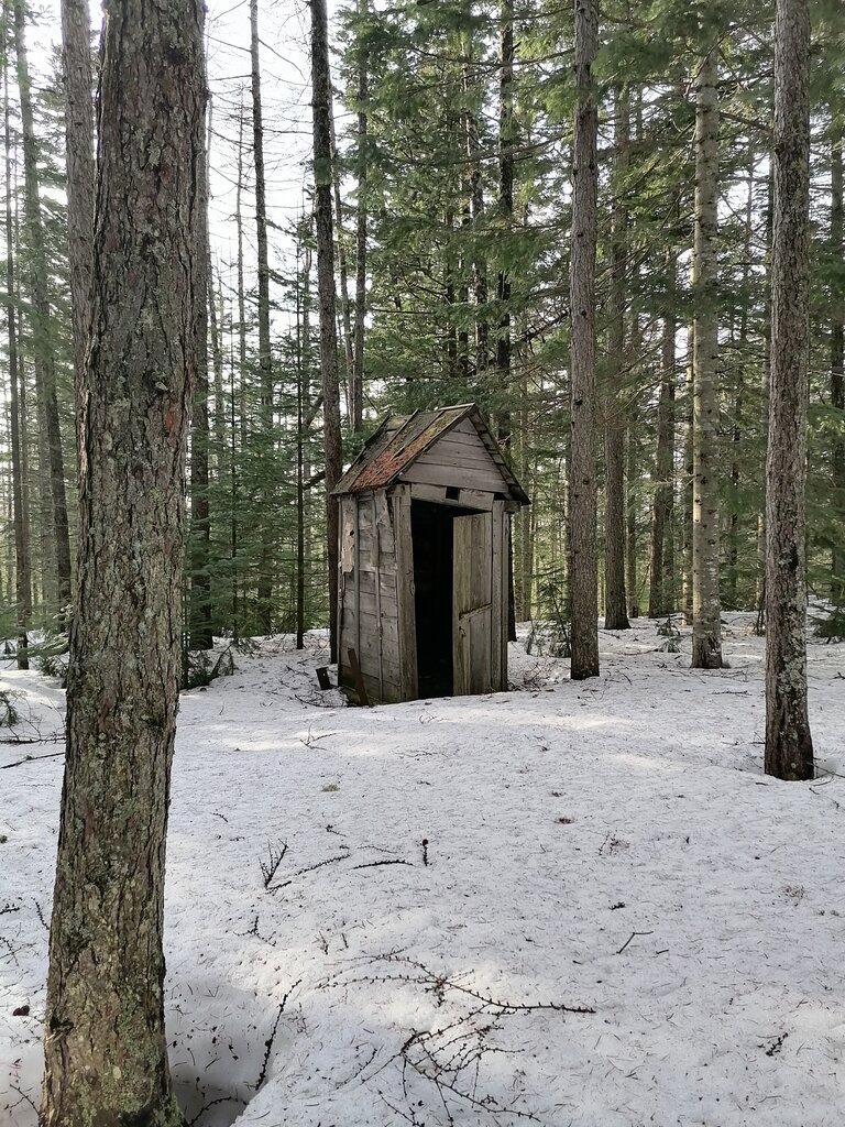 Dağ zirvesi Гора Наблюдательная 175 метров, Sahalin Bölgesi, foto