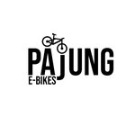 Pajung eBikes (Südbahnhofstraße No:18, Aschaffenburg), bisiklet mağazaları  Aschaffenburg'dan