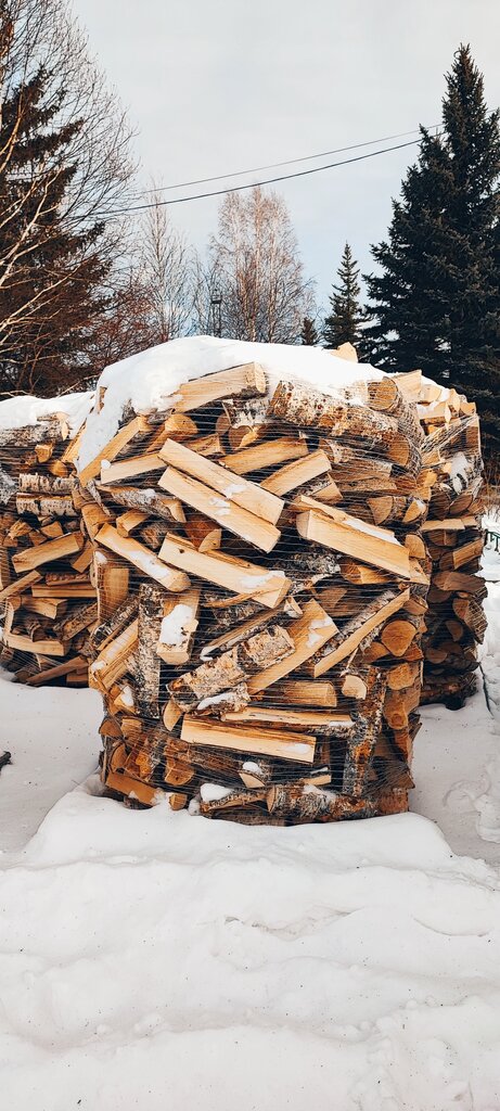 Kerestecilik, ağaç satışı Ekoles, Sverdlovskaya oblastı, foto