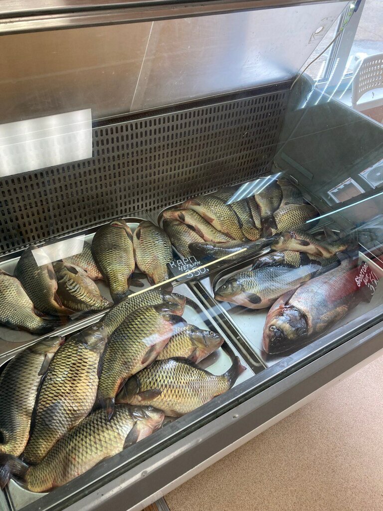 Balık ve deniz ürünleri Рыбный дворик, Salavat, foto