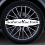 Autocollection (Bogatyrskiy Avenue No:18к2), oto kiralama  Saint‑Petersburg'dan