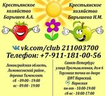 Сад Надежды (Promishlennaya Street No:6), fidan yetiştiriciliği  Saint‑Petersburg'dan