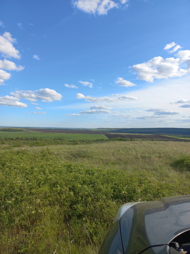 Dağ zirvesi Гора Каменная, Saratovskaya oblastı, foto
