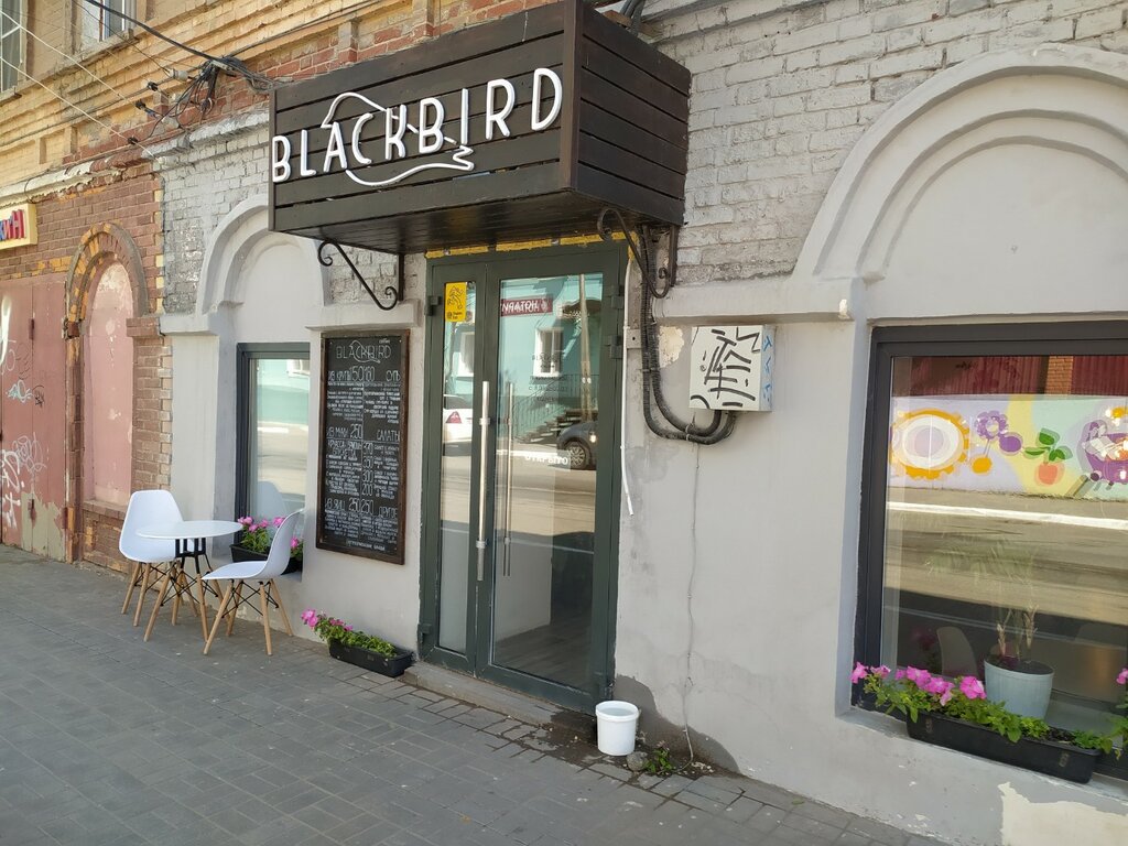 Kahve dükkanları Blackbird, Astrahan, foto