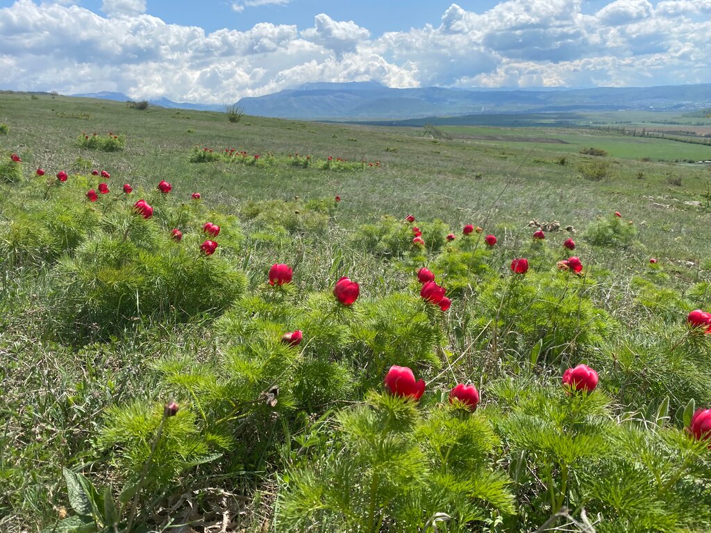Kamp alanları Туристическая стоянка Курган Славы, Kırım Cumhuriyeti, foto