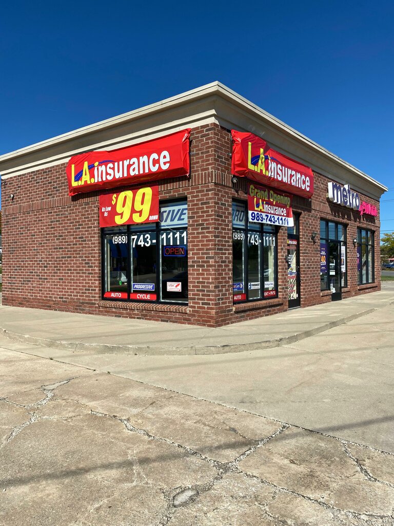 Sigorta şirketleri L. A. Insurance, Michigan Eyaleti, foto