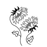 Buket-Muket (Kamennoostrovskiy Avenue No:14), çiçekçiler  Saint‑Petersburg'dan