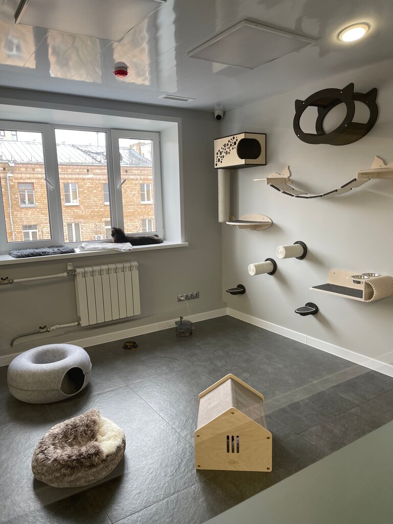 Pet otel Сфинкс, Moskova, foto