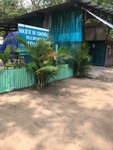Dgtt (Brazzaville, Commune de Moungali), devlet kurumları ve bakanlıklar  Brazzaville'den