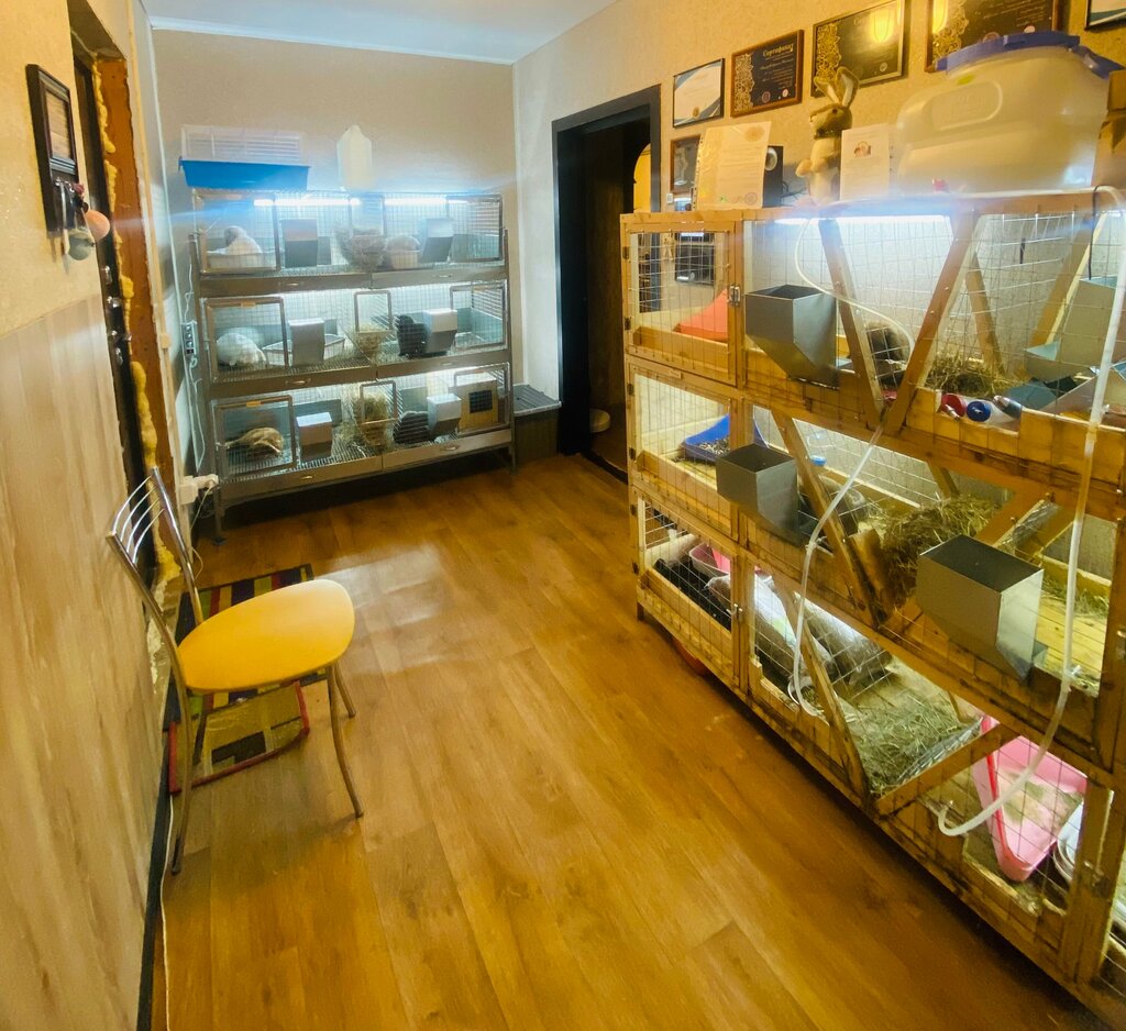 Pet otel Питомник Северный Ушастик, Coca, foto