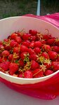 Раиска (Republic of Daghestan, 82K-048), market  Dağıstan'dan