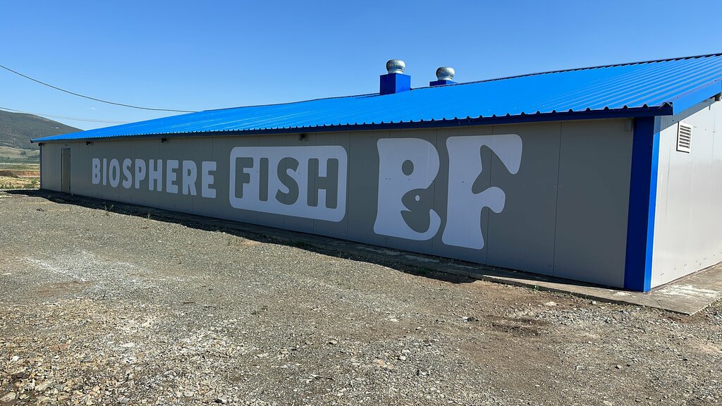 Balık çiftçiliği ve toptancıları Biosphere Fish, Akmola eyaleti, foto