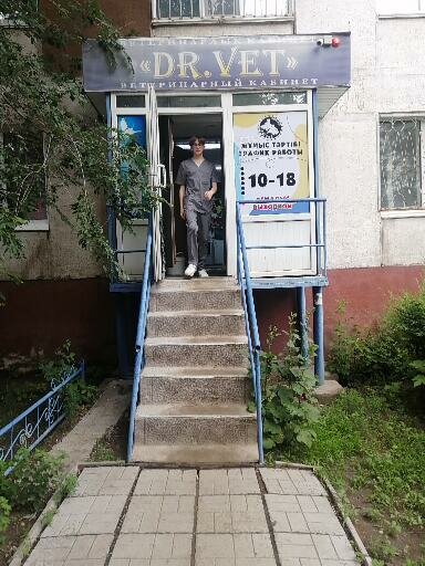 Petshop Laguna Pet store, Rudny, foto