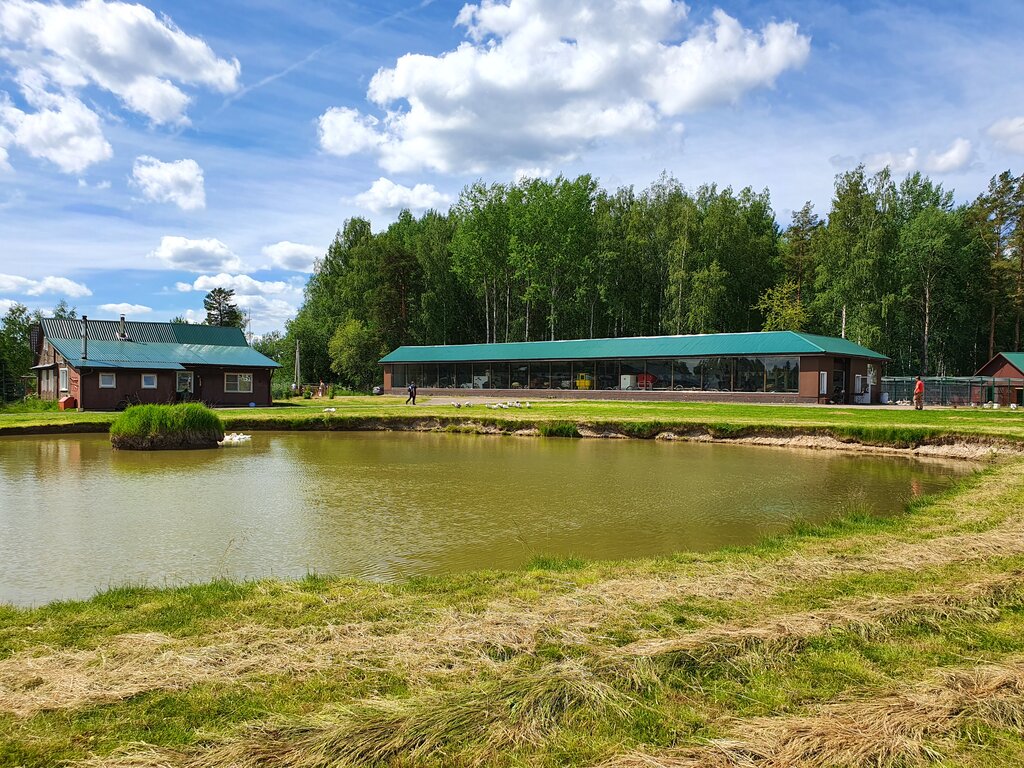 Sergi salonları, galeriler Выставка экипажей в усадьбе Марьино, Saint‑Petersburg ve Leningradskaya oblastı, foto