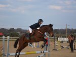 Casaletto Equestrian Center (Via di Affogalasino No:30), evcil hayvan yetiştiricileri  Roma'dan