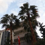 Inn Alanya Hotel (Antalya, Alanya, Güller Pınarı Mah., Sahire Tüzün Cad., 10), otel  Alanya'dan
