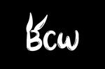 Bcw (Брестский бульвар No:9А), oto yıkama  Saint‑Petersburg'dan