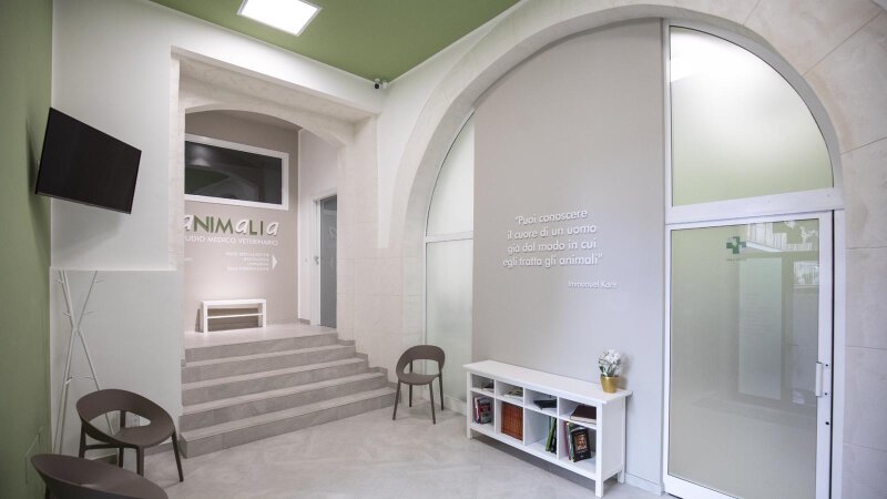 Veteriner klinikleri Animalia Studio Medico Veterinario dott. Sola Calogero, , foto