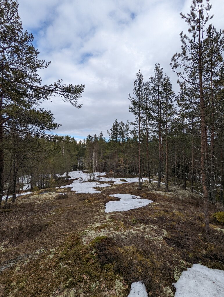 Dağ zirvesi Высота 76 метров, Pitkyaranta, foto