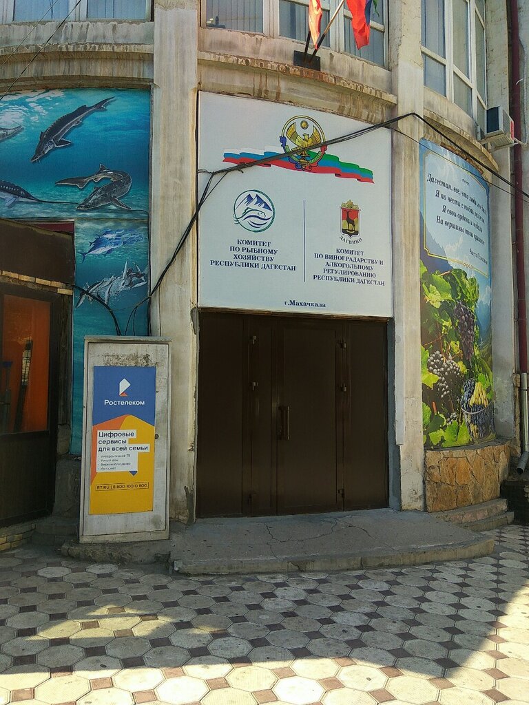 Özel güvenlik Центр по обеспечению высших должностных лиц, Makhachkala, foto