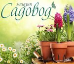 Flowers, garden, household goods - Gardener (ulitsa Lenina No:24/20), çiçekçiler  Kashin'den