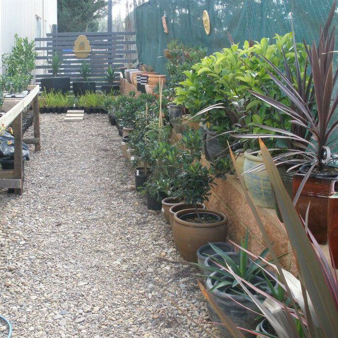 i̇nşaat firmaları Picton Sand & Soil, Yeni Güney Galler, foto