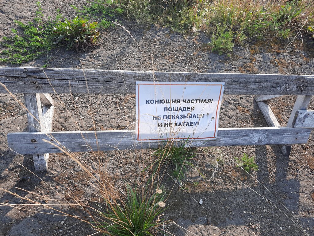 At ve binicilik kulüpleri Konny klub Vensenta, Kirovskaya oblastı, foto