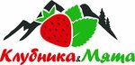 Strawberry & Mint (Klubnichnaya ulitsa No:30, selo Anos), resort oteller, tesisler  Altay Cumhuriyeti'nden