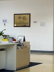 Dubai British School (Jumeirah Park - District 5, Jumeirah Park, Al Thanyah 5, Al Thanyah, Hadaeq Mohammed Bin Rashid, Dubai), özel okul  Dubai'den