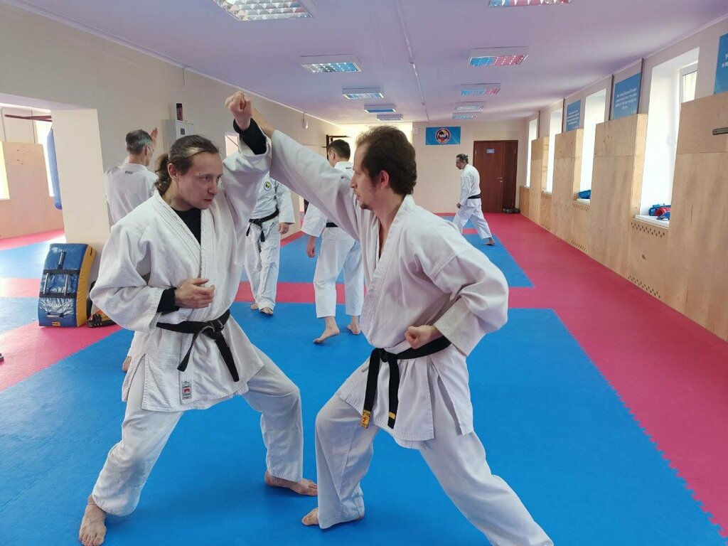 Spor okulları Wado-ryu karate, Moskova, foto