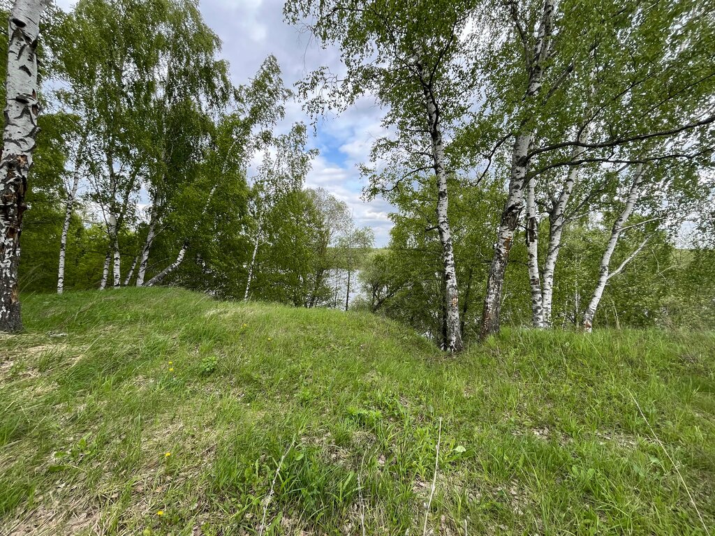 Eğlence merkezleri Чертов пятак, Riazanskaya oblastı, foto