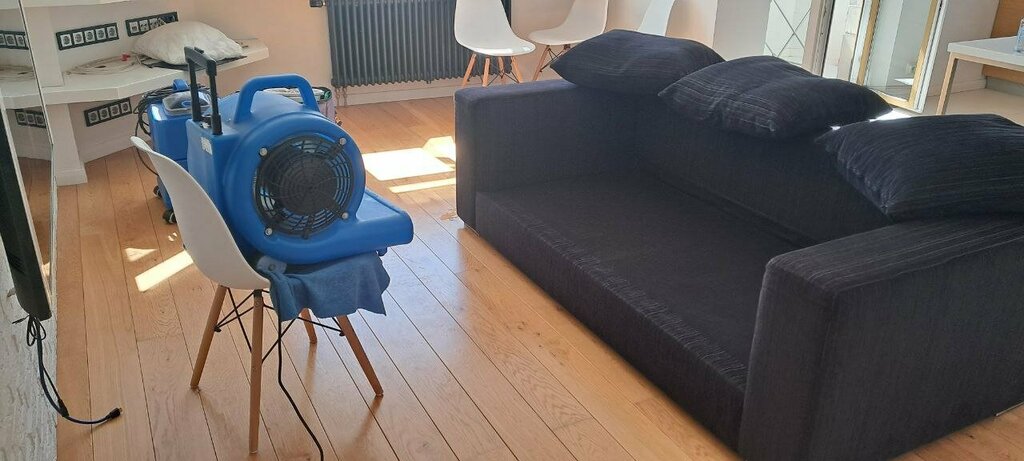 Kuru temizlemeciler BeeClean24, Moskova, foto